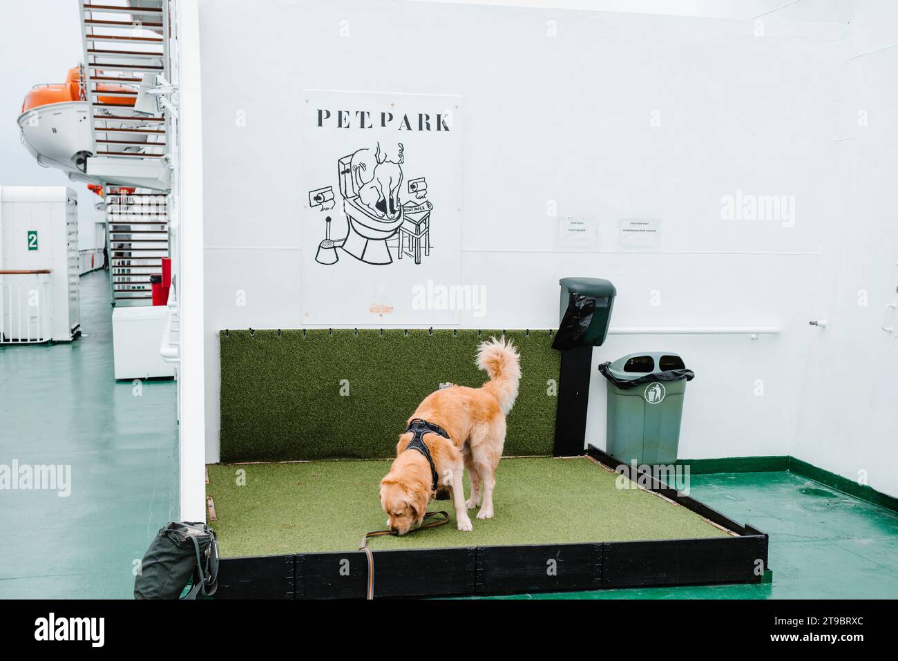 Golden retriever on a boat hi-res stock photography and images - Alamy