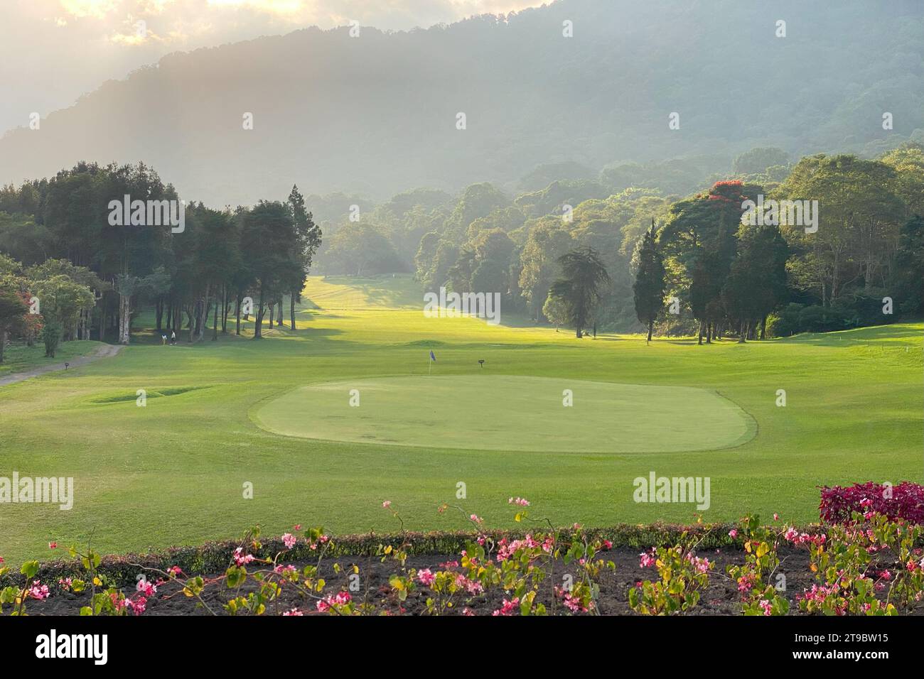 Beautyful green landscape of Handara at sunny day, Bedugul, Bali island ...