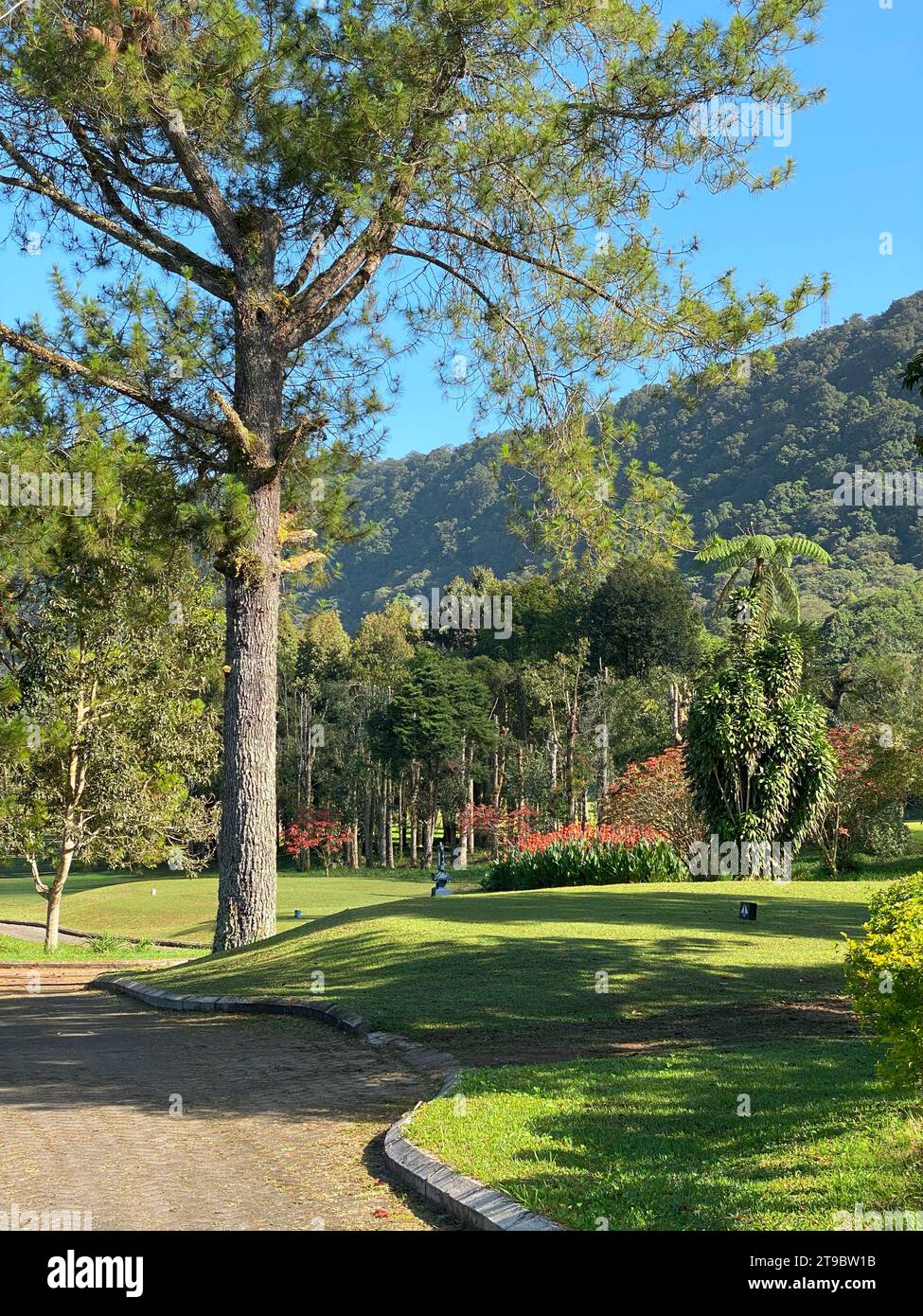 Beautyful green landscape of Handara at sunny day, Bedugul, Bali island ...
