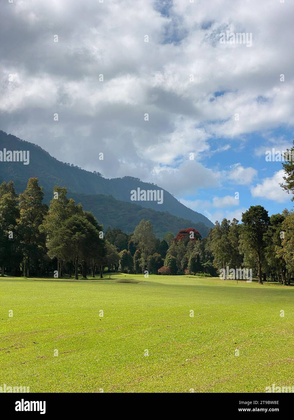 Beautyful green landscape of Handara at sunny day, Bedugul, Bali island ...