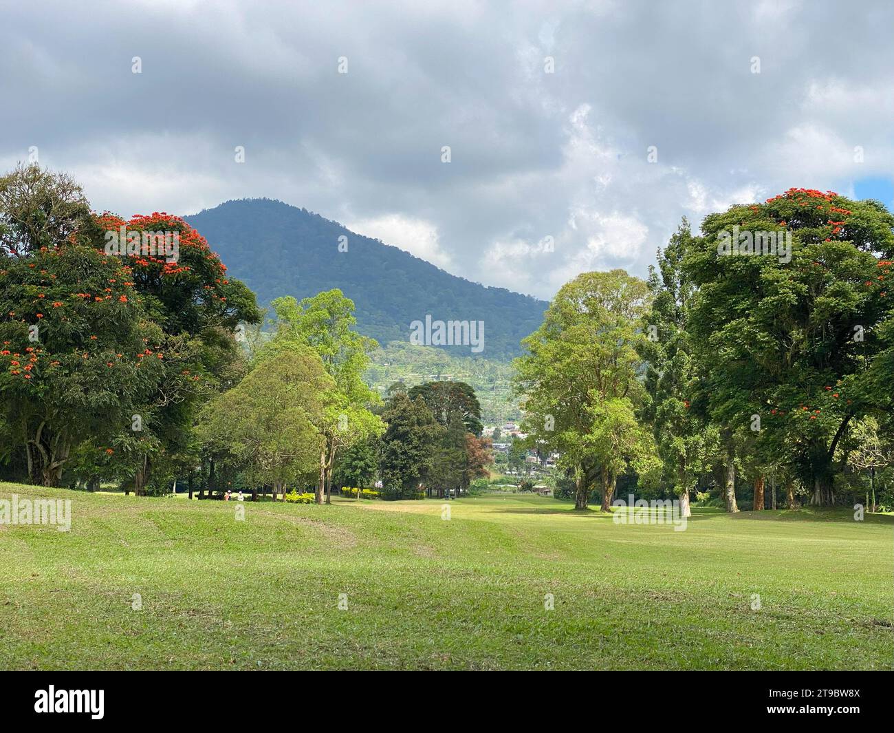 Handara hi-res stock photography and images - Alamy