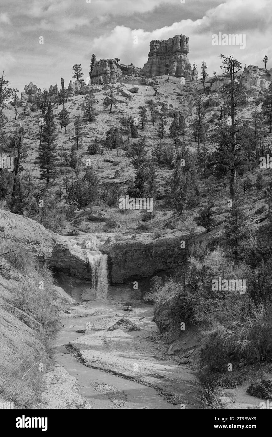Tropic Ditch Falls in Bryce Canyon National Park in Black and White ...