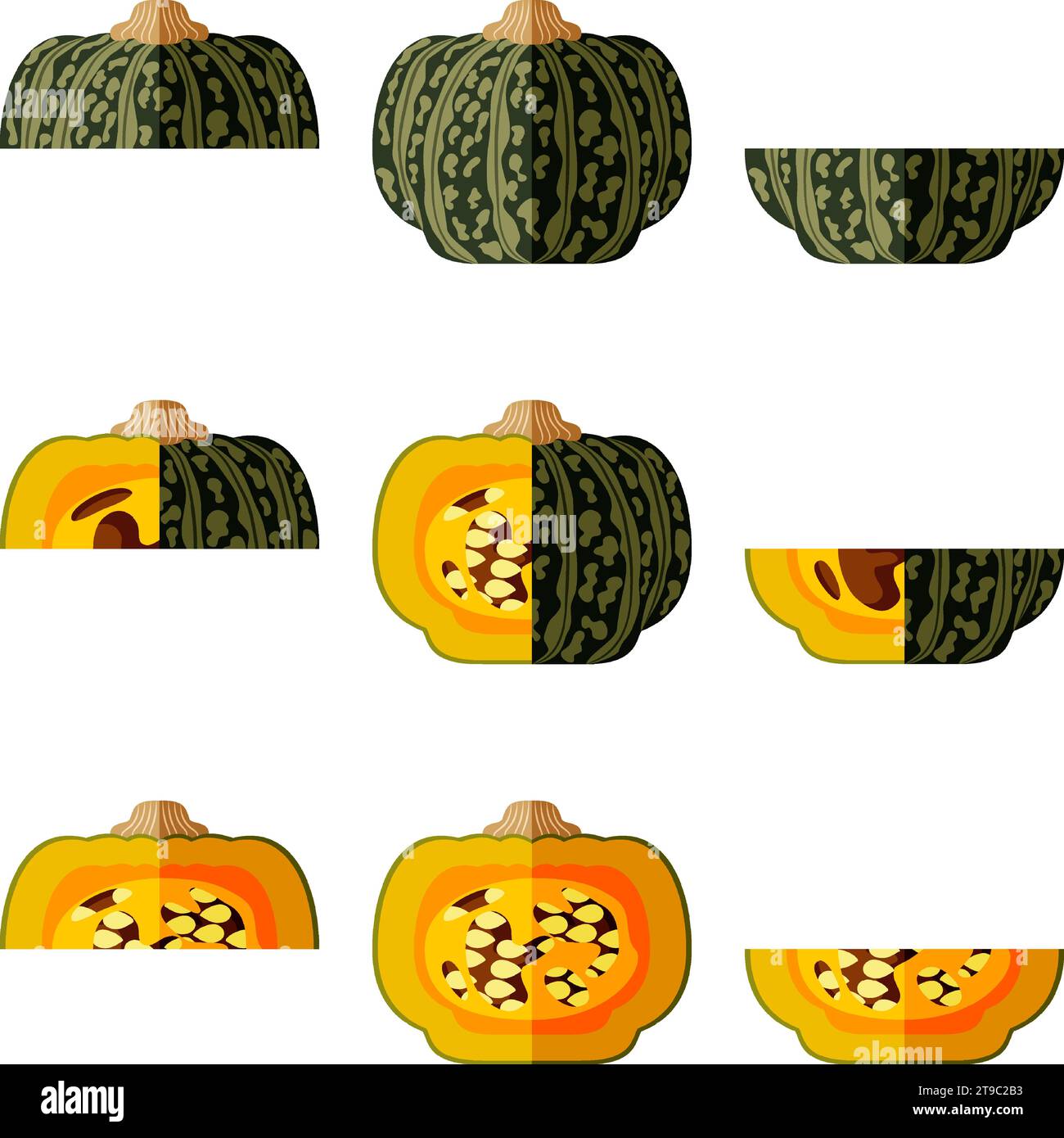 Set of Kabocha winter squash pumpkins. Chestnut squash. Cucurbita ...