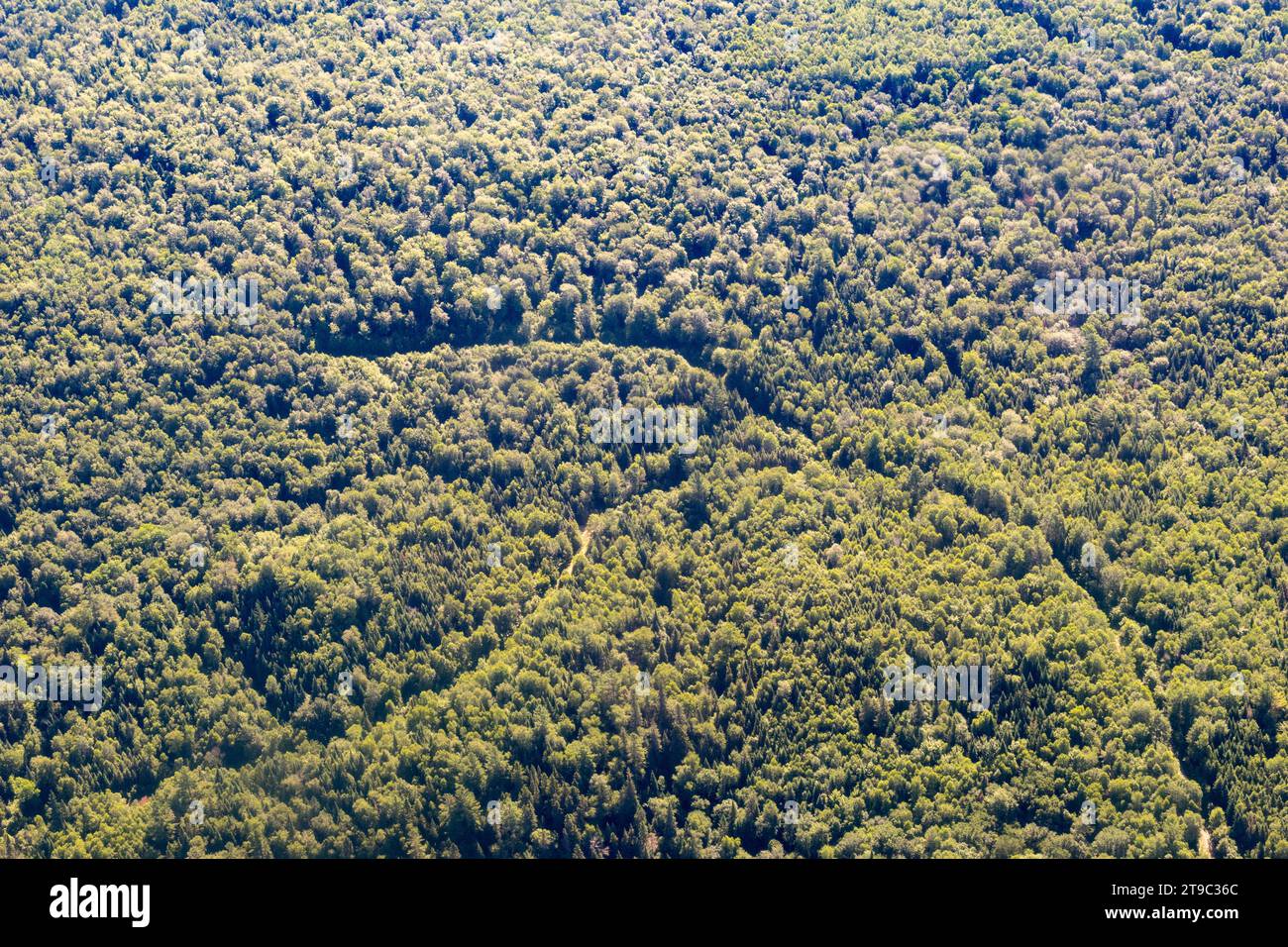 Laurentian forest from a bird's eye view, province of Quebec, Canada ...