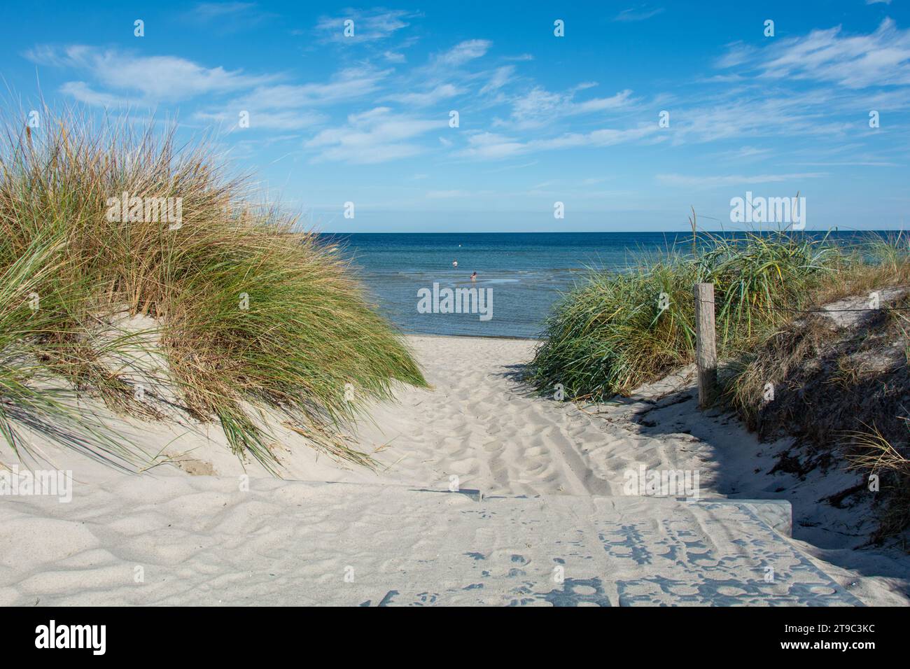 Path between the sand dunes overlooking the sea with blue sky Stock ...