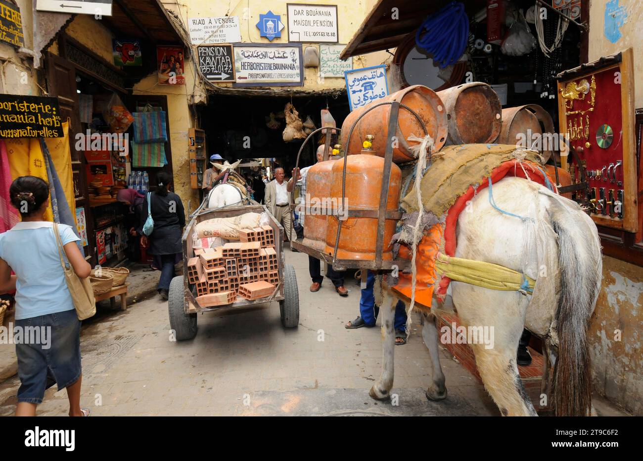 Medina quarter of Fes (World Heritage Site), transport of goods with a ...
