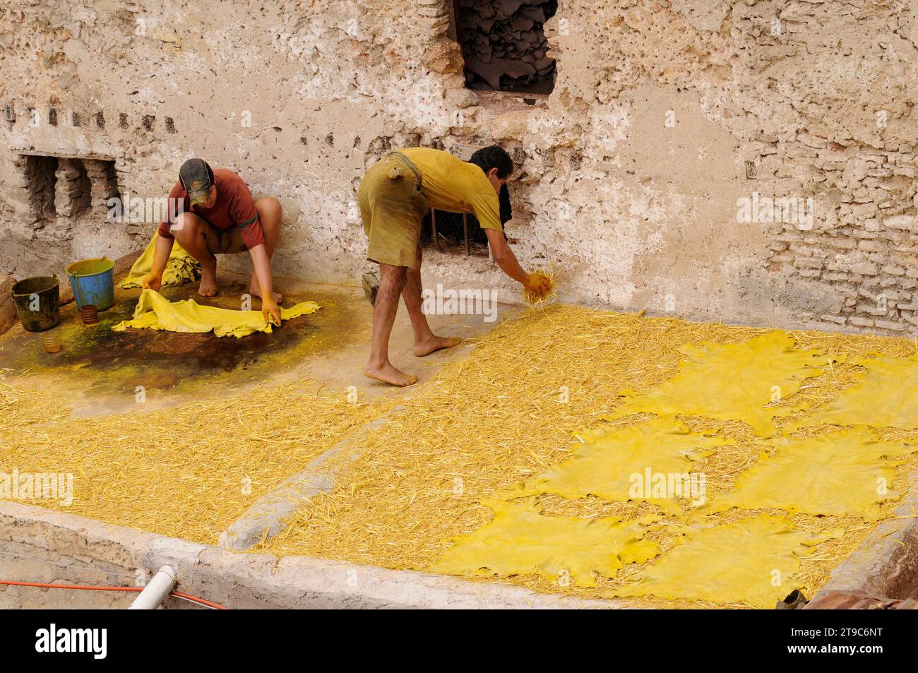 Chouara tannery, drying of the skins. Fez, Morocco Stock Photo - Alamy
