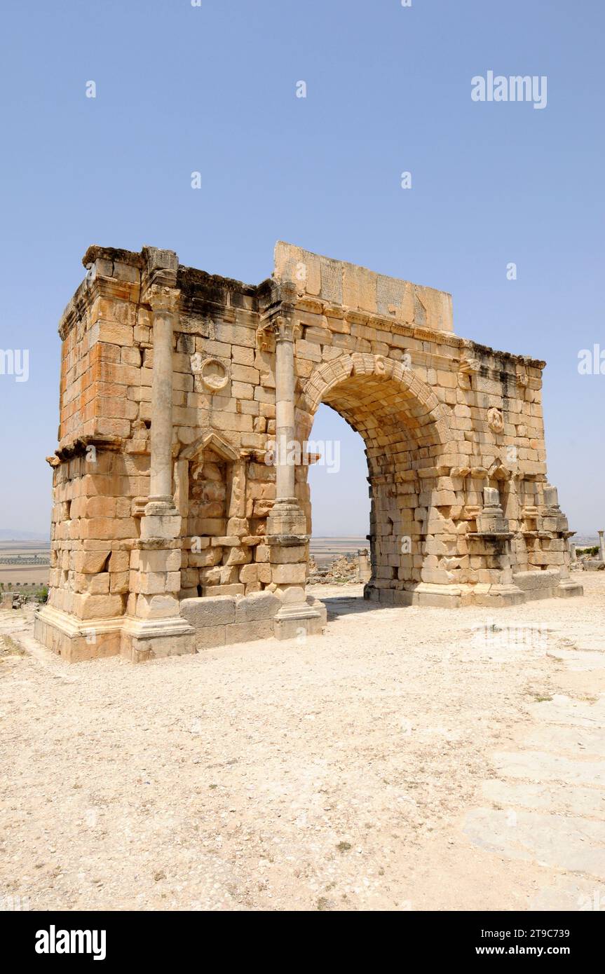 Volubilis, Berber and Roman city (from 3th century BC to 11th century ...