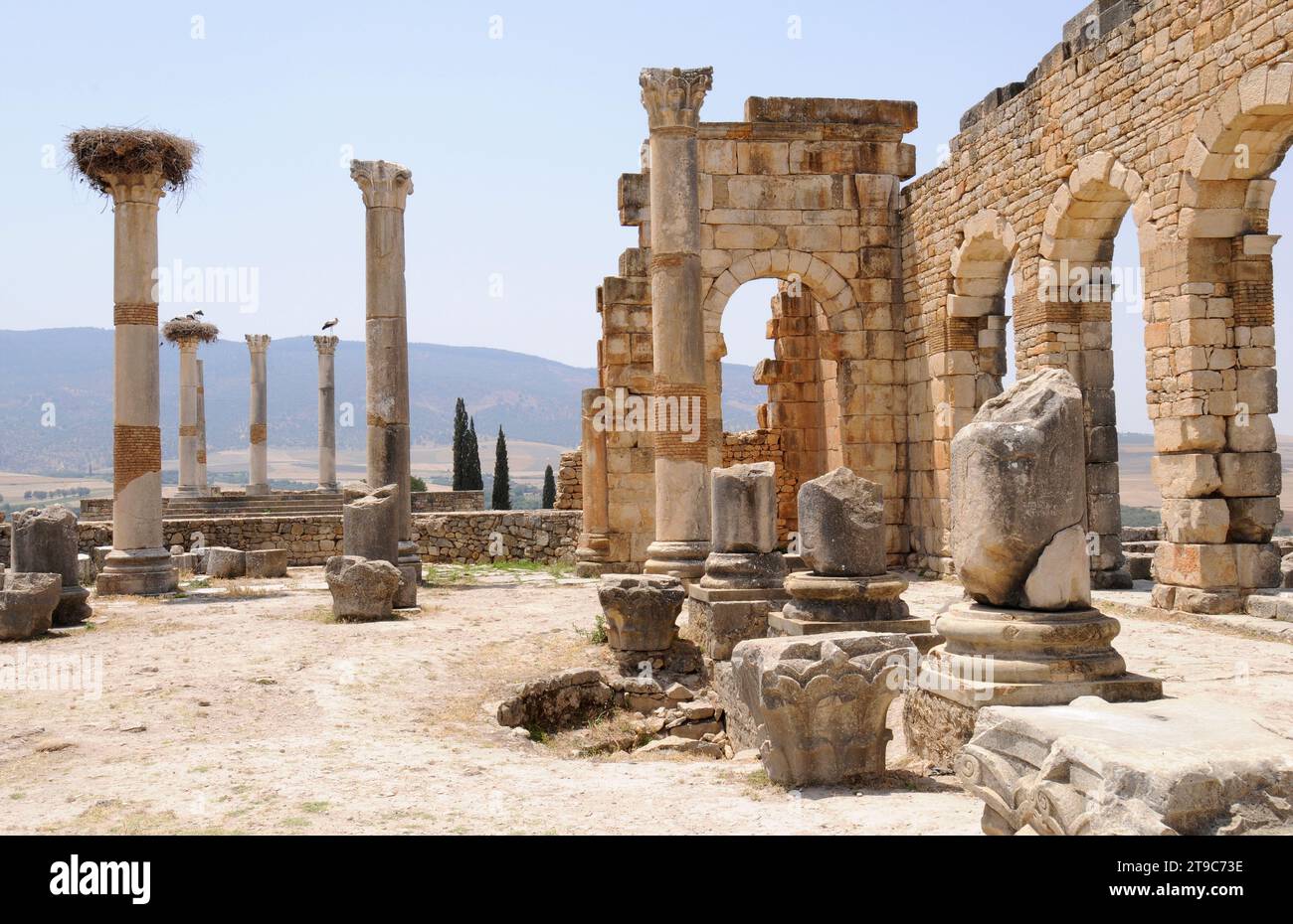 Volubilis, Berber and Roman city (from 3th century BC to 11th century ...