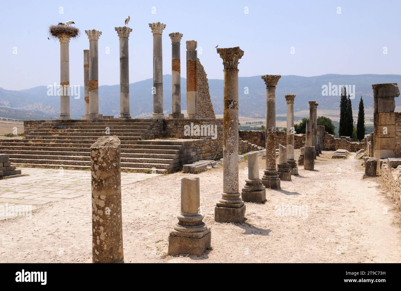 Volubilis, Berber and Roman city (from 3th century BC to 11th century ...