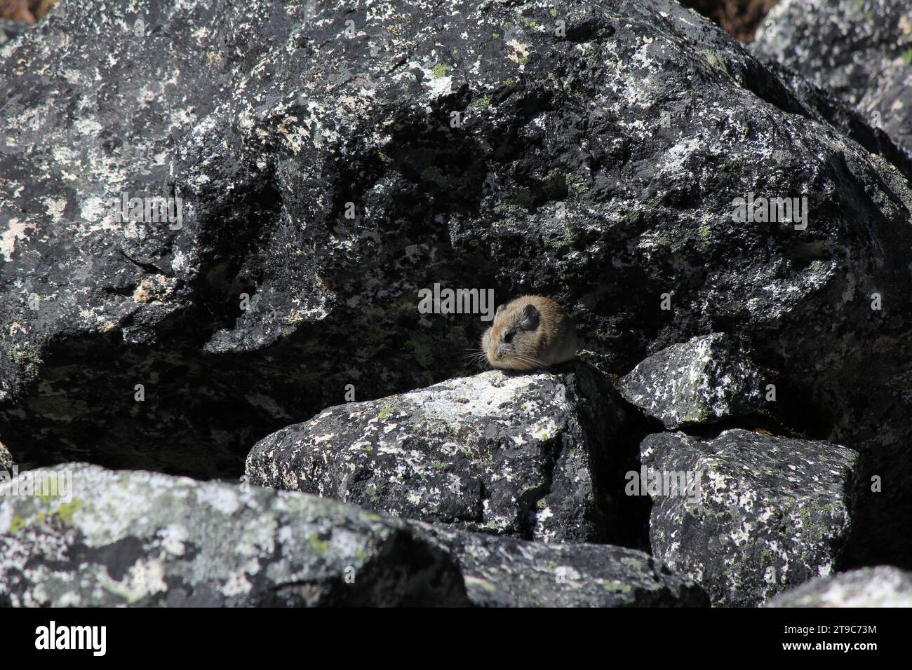 Altitude 4800 meters hi-res stock photography and images - Alamy