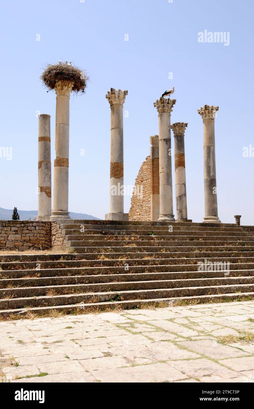 Volubilis, Berber and Roman city (from 3th century BC to 11th century ...