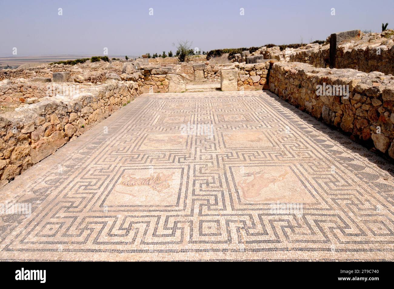 Volubilis, Berber and Roman city (from 3th century BC to 11th century ...