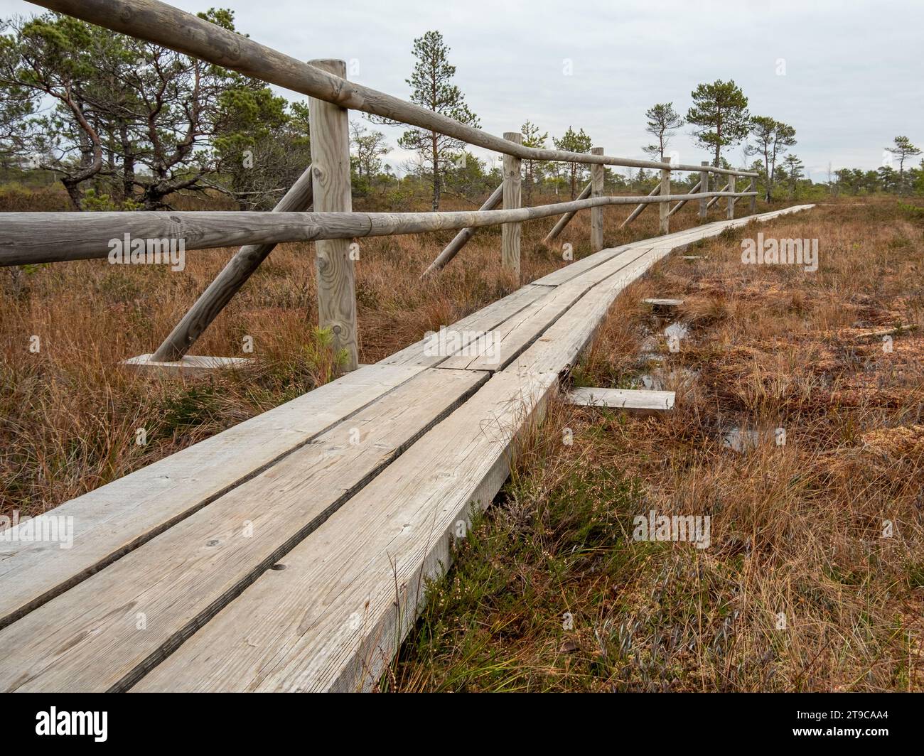 Creaking planks hi-res stock photography and images - Alamy