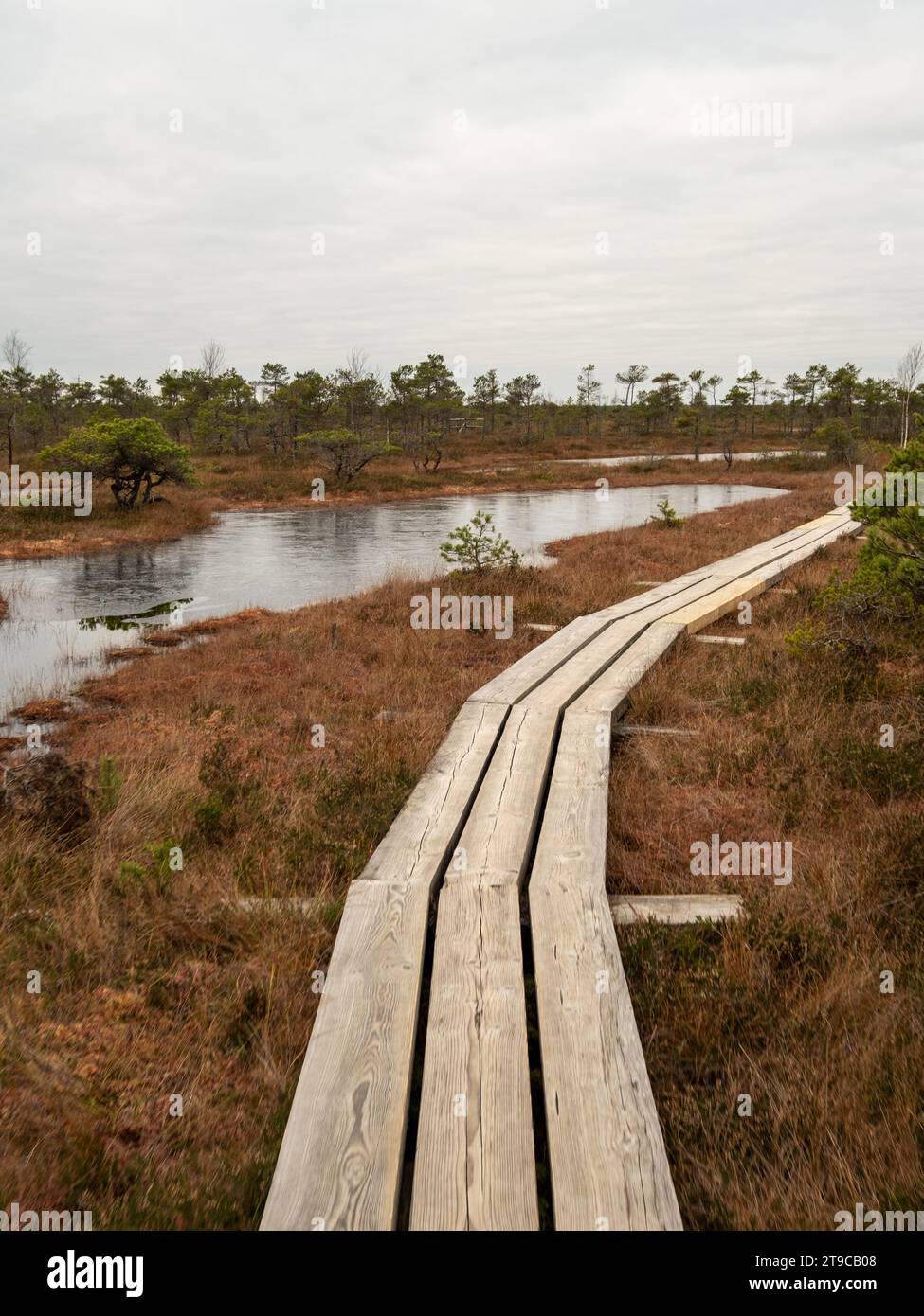 Cross this wooden bridge, a gateway to the secrets held within the ...