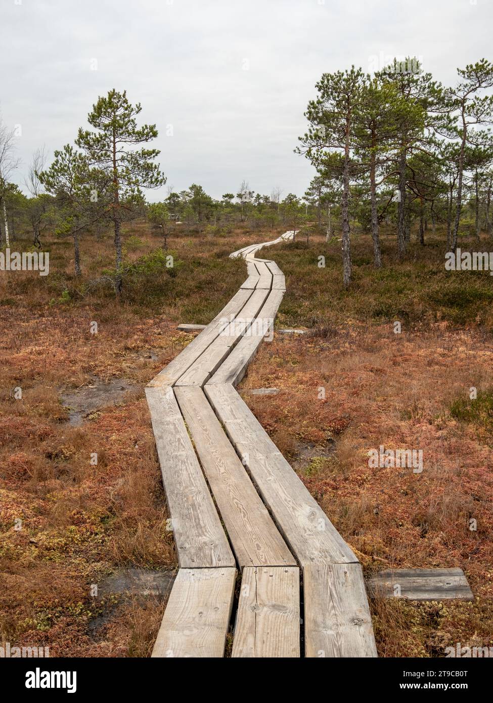 Heres a chain of keywords describing a wooden pathway crossing hi-res ...
