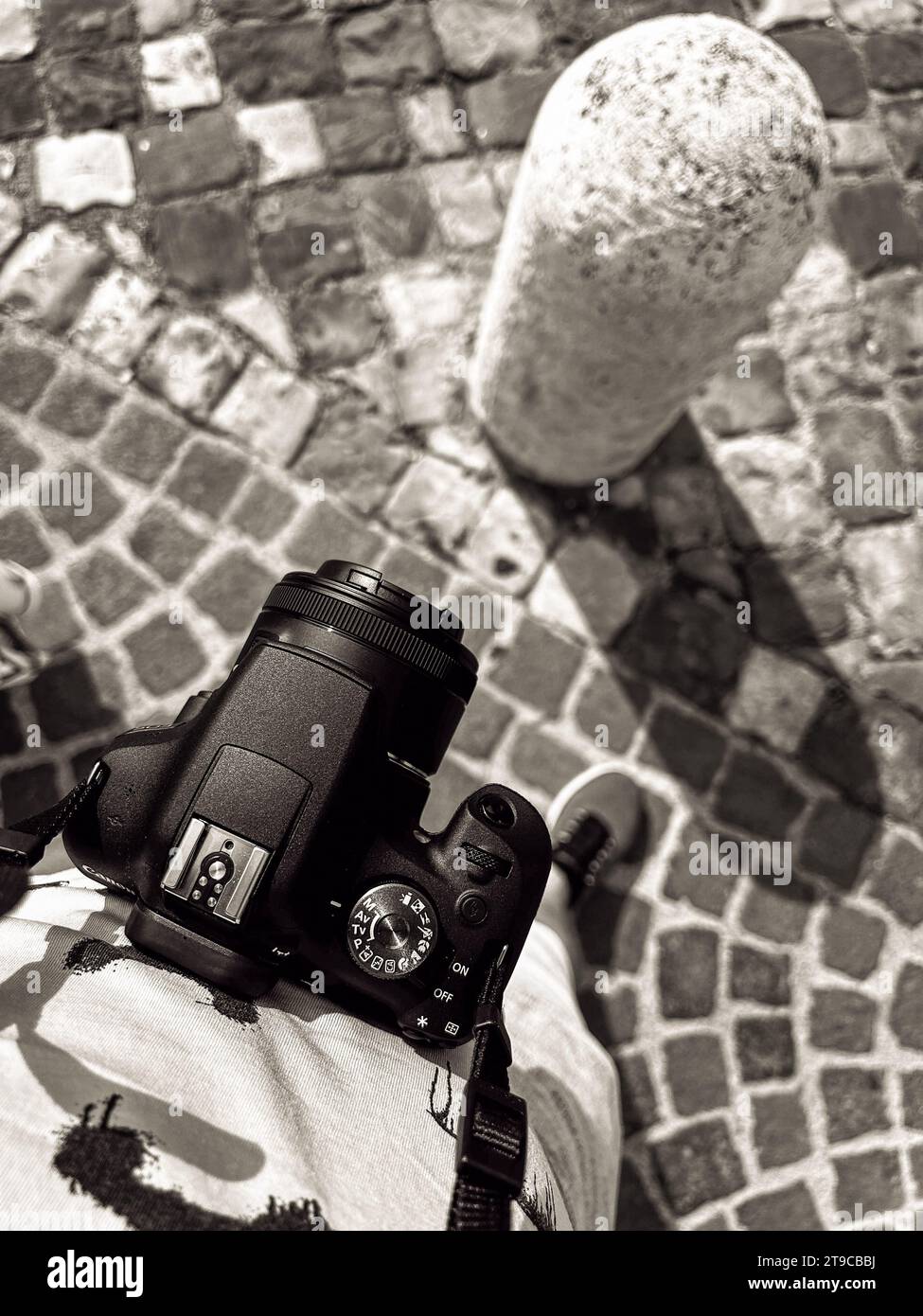 Through the lens: In a captivating black and white frame, the sturdy ...