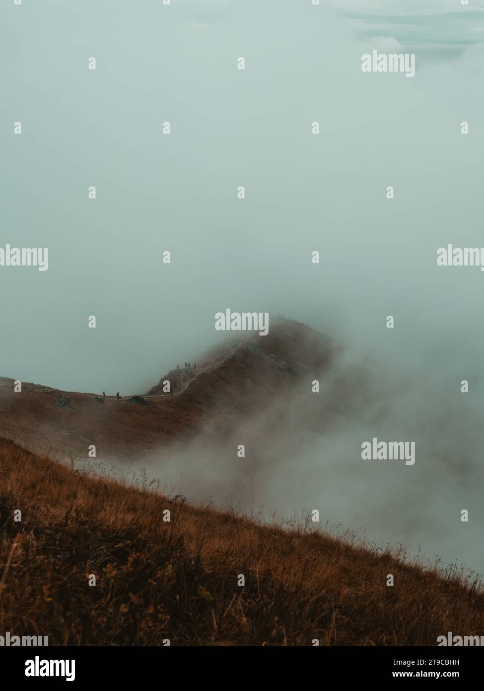 Trails of mystic ascent: A mountain shrouded in delicate fog, where ...