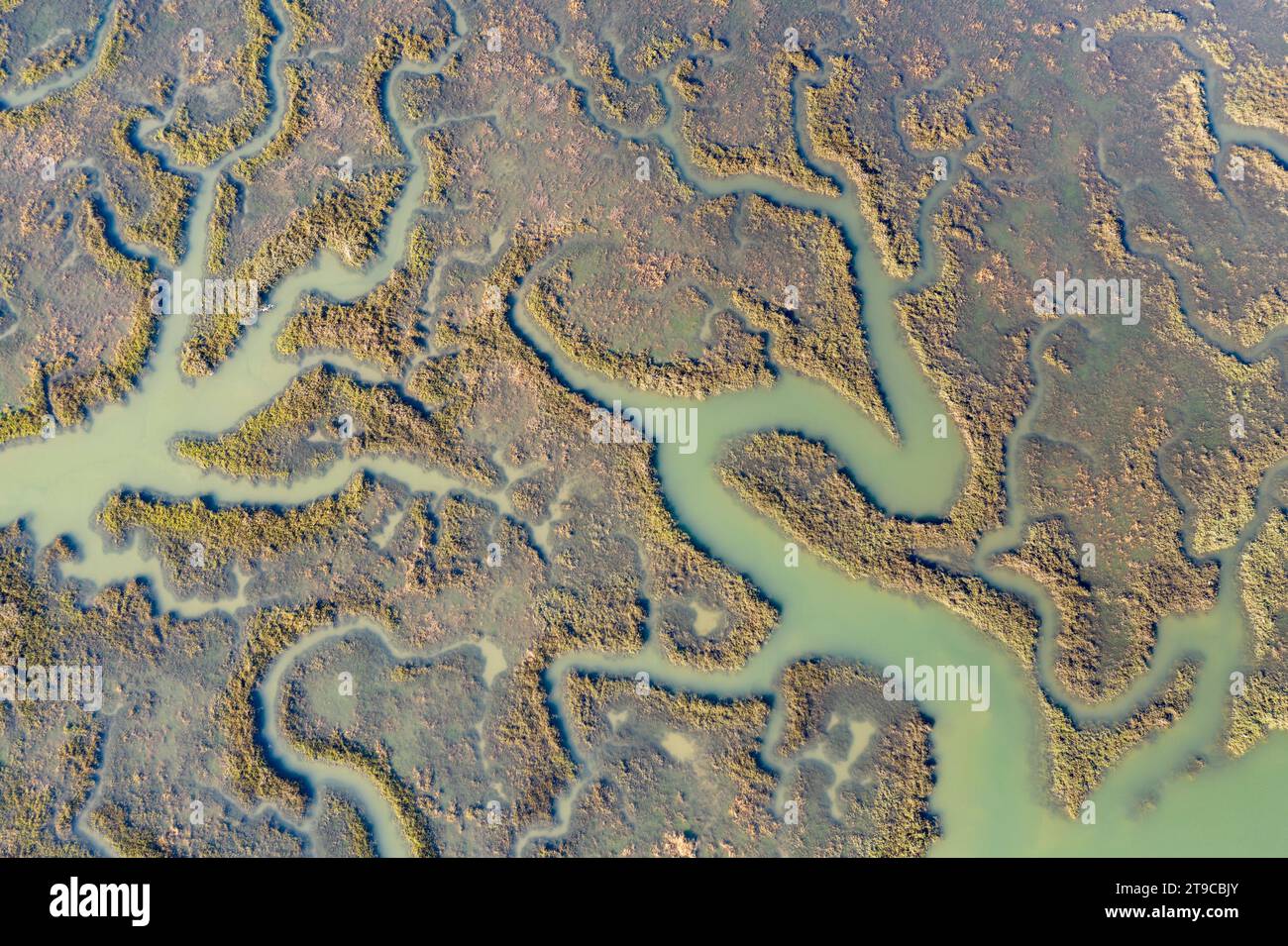 Flooded salt marshes on the Camel Estuary, Wadebridge, Cornwall ...