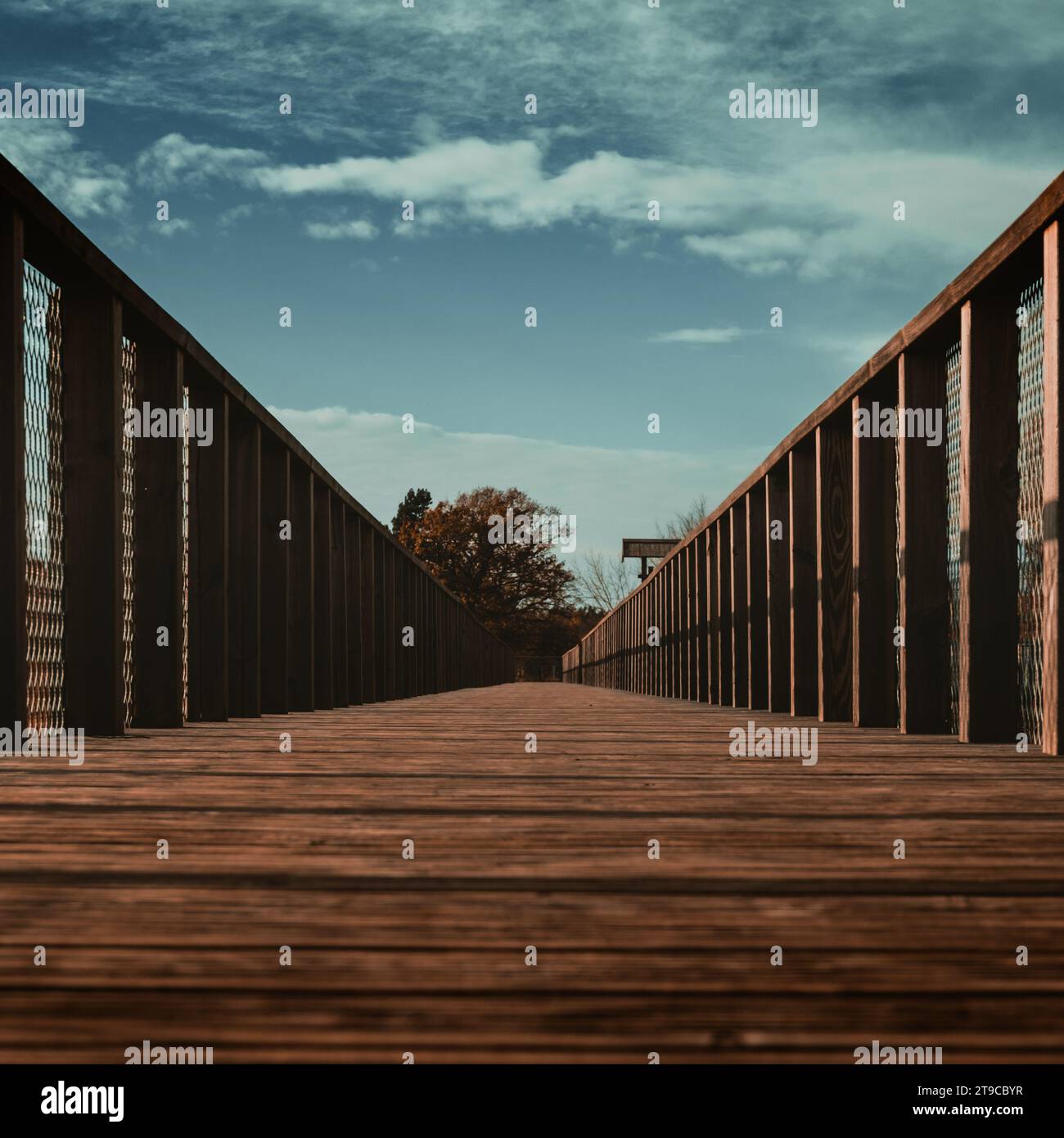 Follow the wooden path, where each step leads to a journey of rustic ...