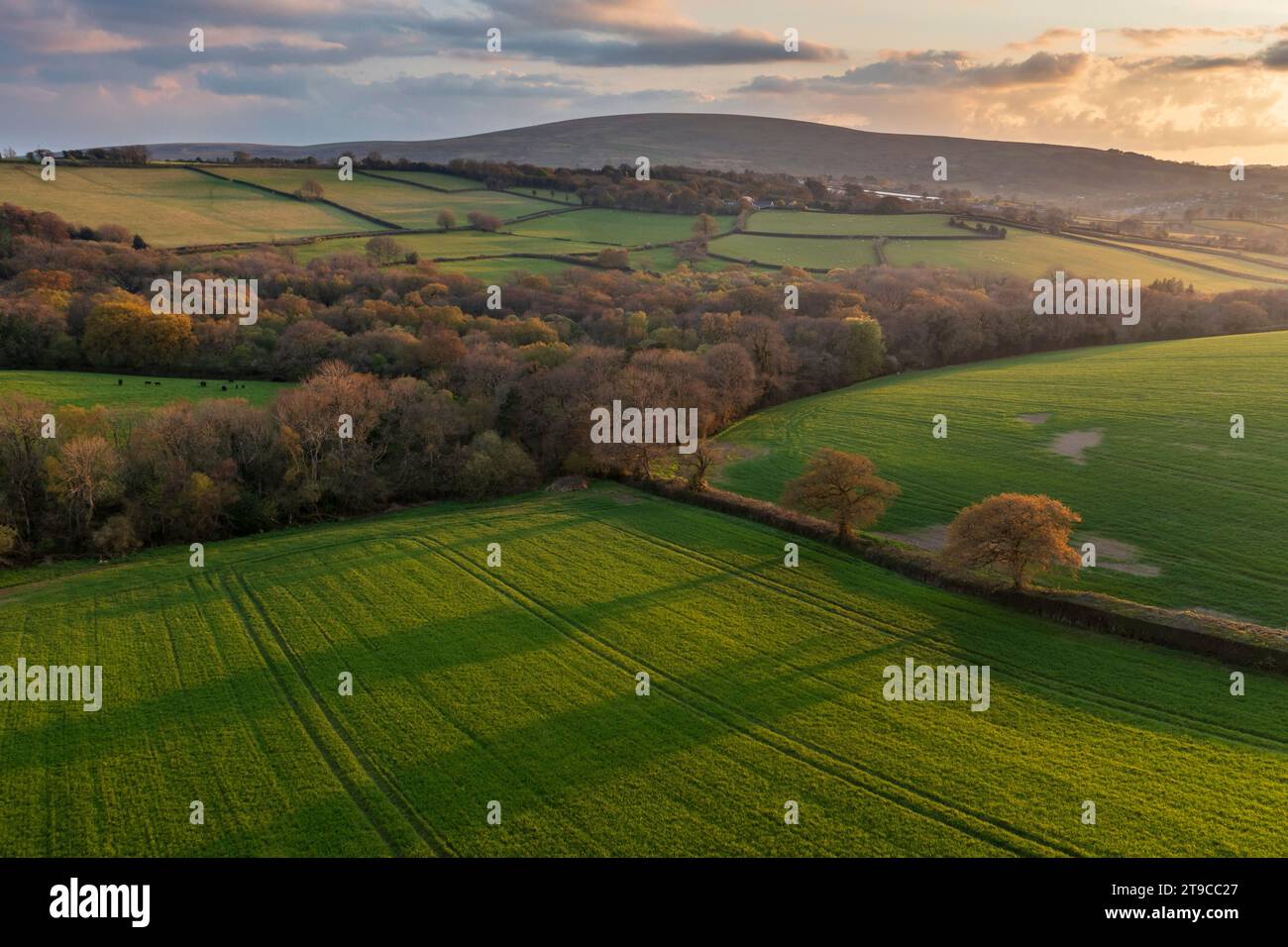 Aerial view of rolling Dartmoor countryside at sunset, Devon, England ...