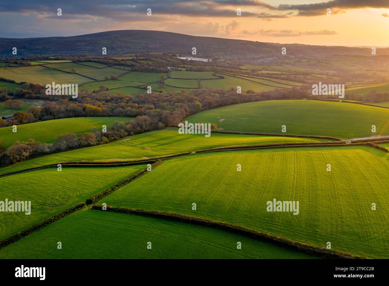 Verdant rolling countryside in Dartmoor National Park, Devon, England ...