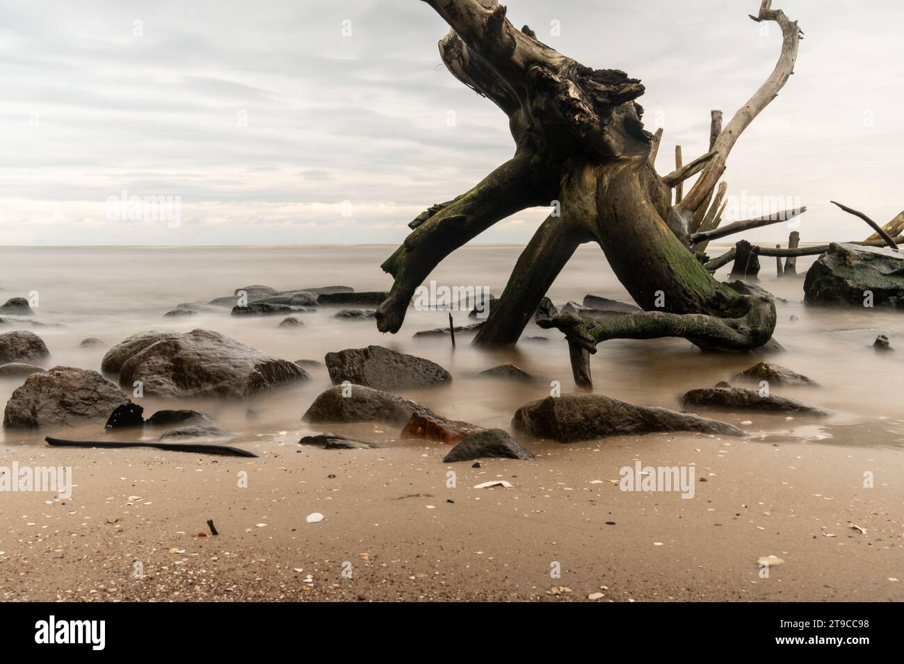 As time slows, the sea unveils its secrets—rocks stand sentinel, while ...