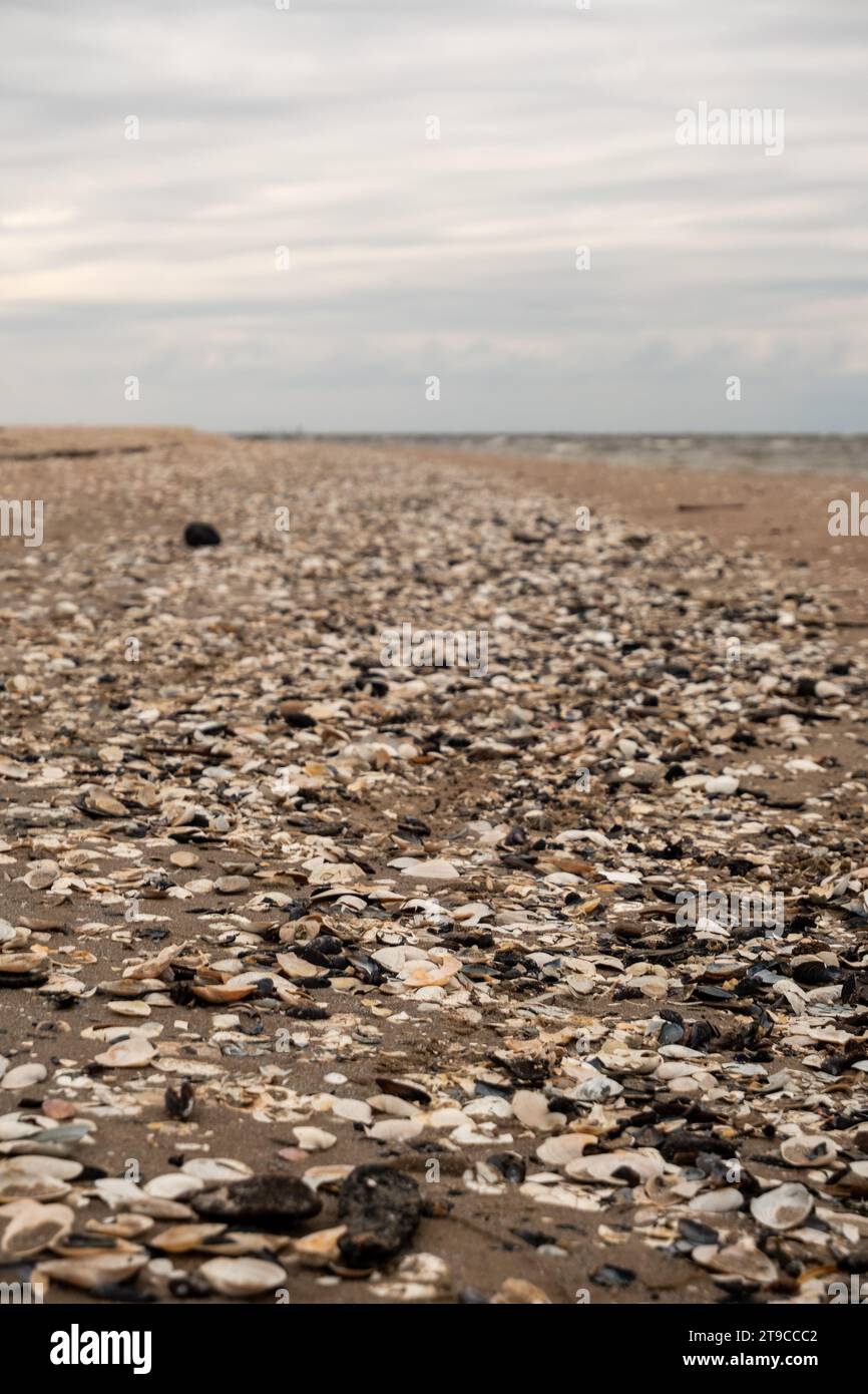 Seaside narrative hi-res stock photography and images - Alamy
