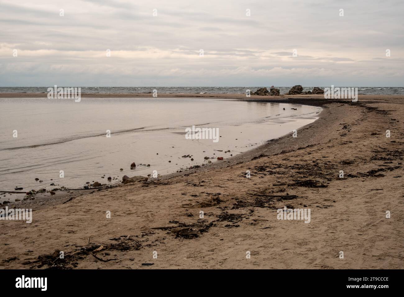 Where sea meets shore, a tapestry unfolds—seaweeds paint a scenic ...