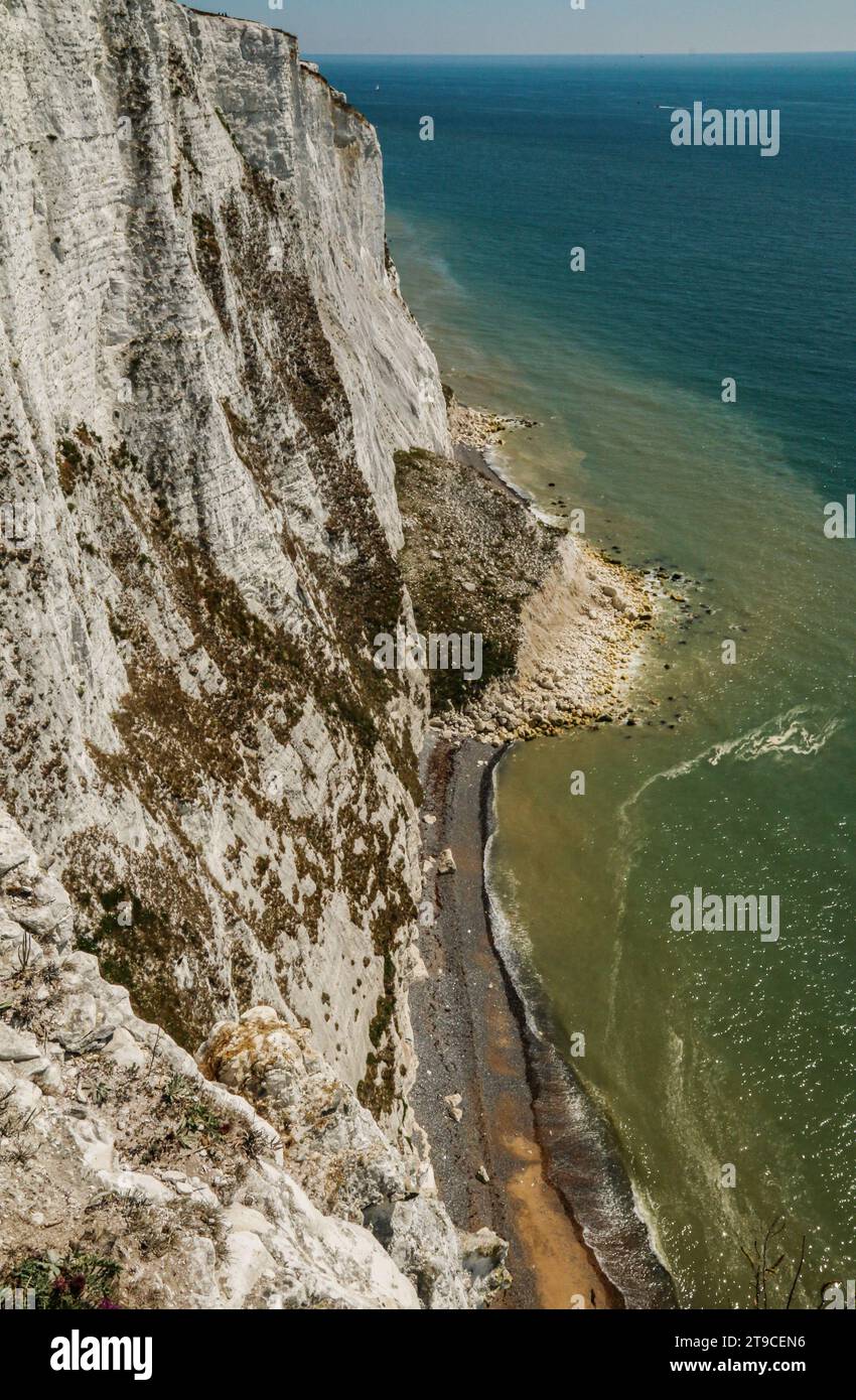 Chalk cliffs of Dover, Kent, England, and the Channel Stock Photo - Alamy