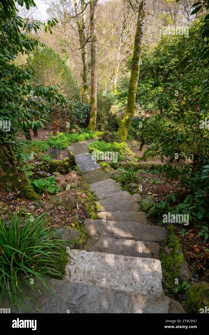 Plas Cadnant Hidden Gardens, Menai Bridge, Anglesey, North Wales Stock ...