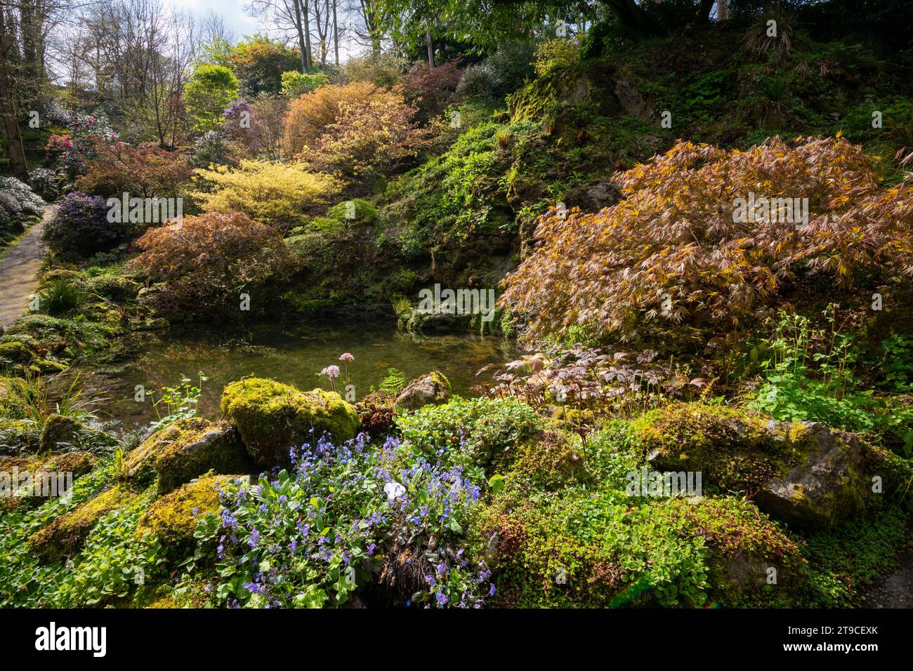 Plas Cadnant Hidden Gardens, Menai Bridge, Anglesey, North Wales Stock ...