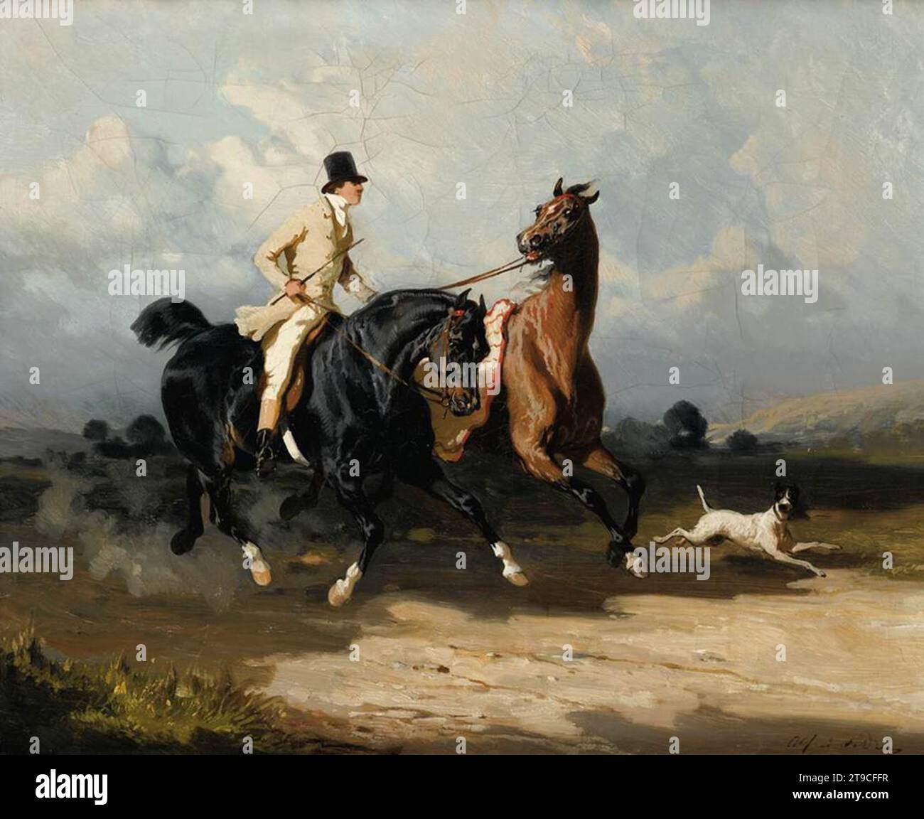 Two horses galloping hi-res stock photography and images - Alamy