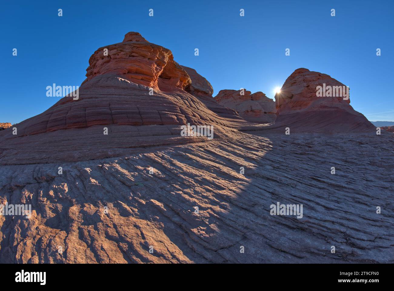 The west rock ridge of the New Wave along the Beehive Trail in the Glen ...
