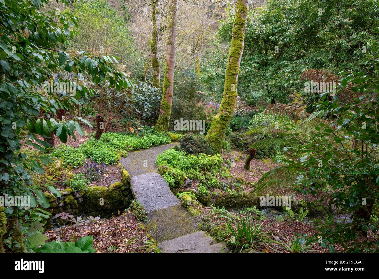 Plas Cadnant Hidden Gardens, Menai Bridge, Anglesey, North Wales Stock ...