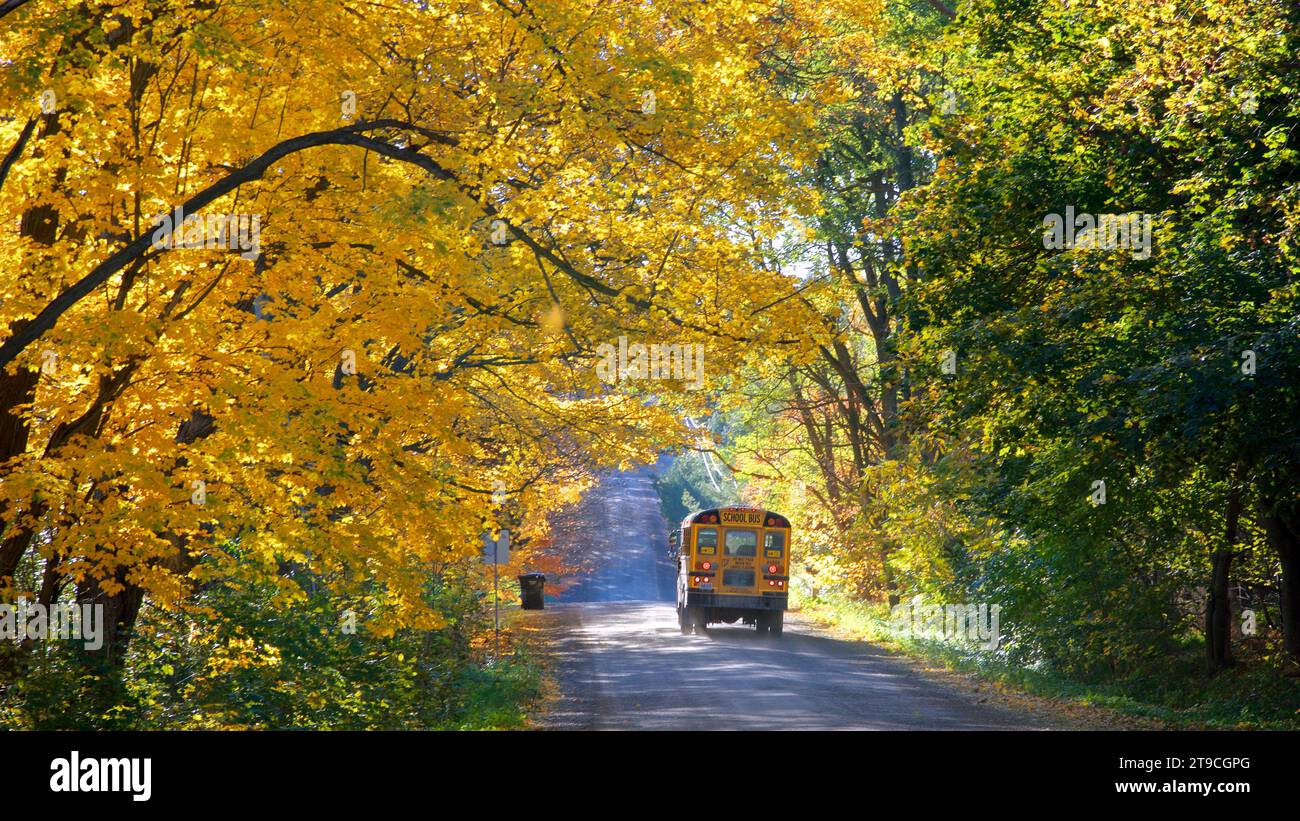 School bus on a country road with autumn leaf colour Stock Photo - Alamy