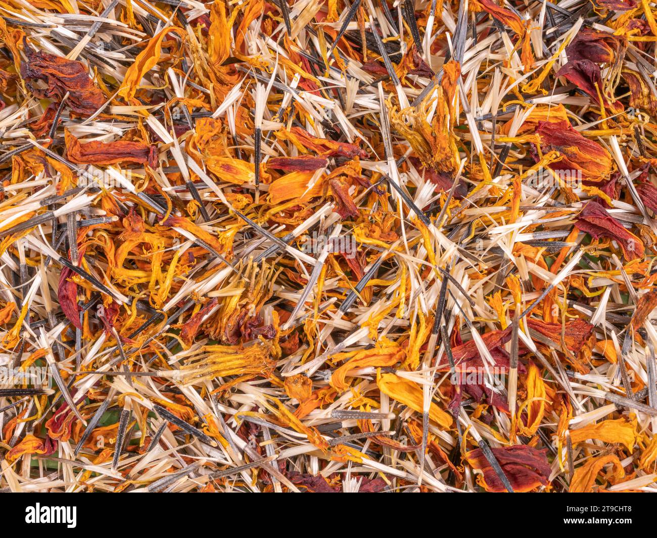 Marigold texture hi-res stock photography and images - Alamy