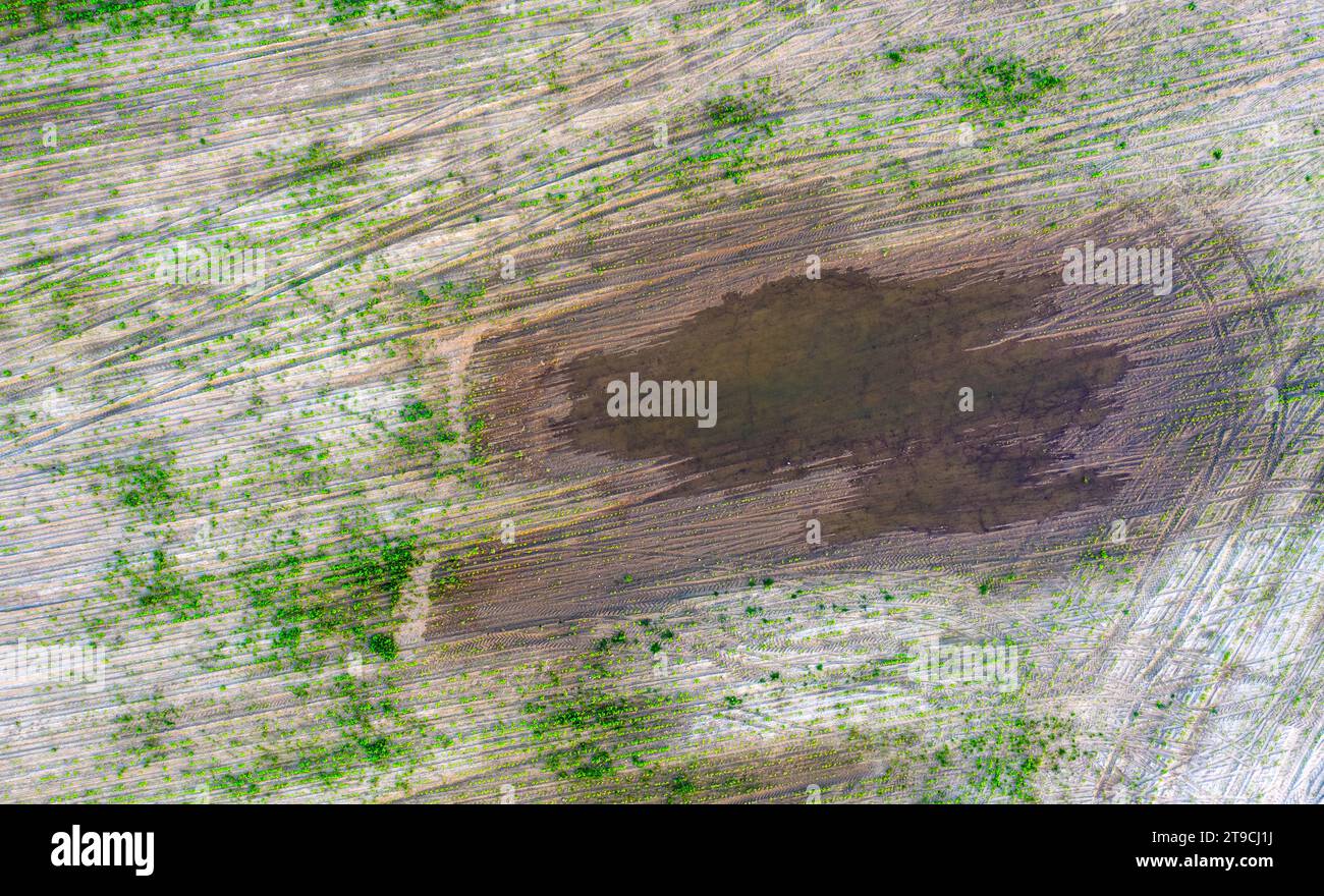Fields in Flood: A Bird's-Eye View of Agricultural Waterlogging Stock ...