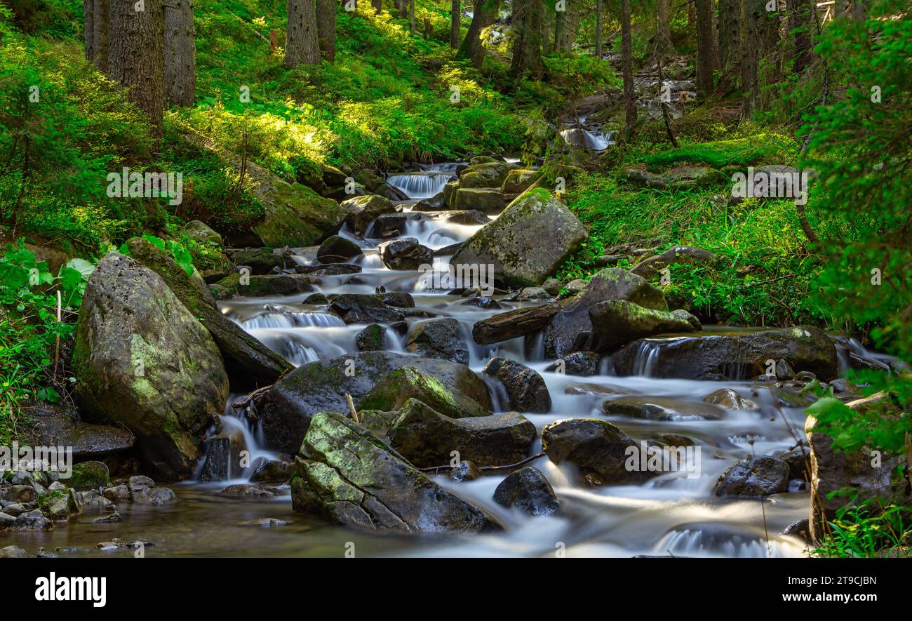 Majestic Descent: Autumn's Symphony Echoes in the Mountain Gorge Stock ...