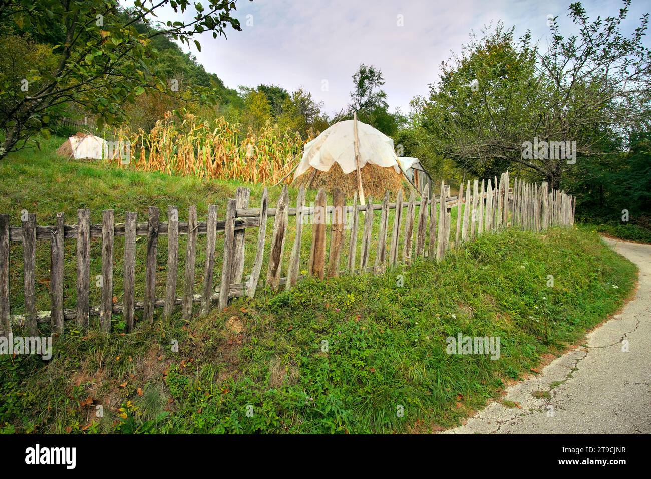 Serbian colours hi-res stock photography and images - Alamy