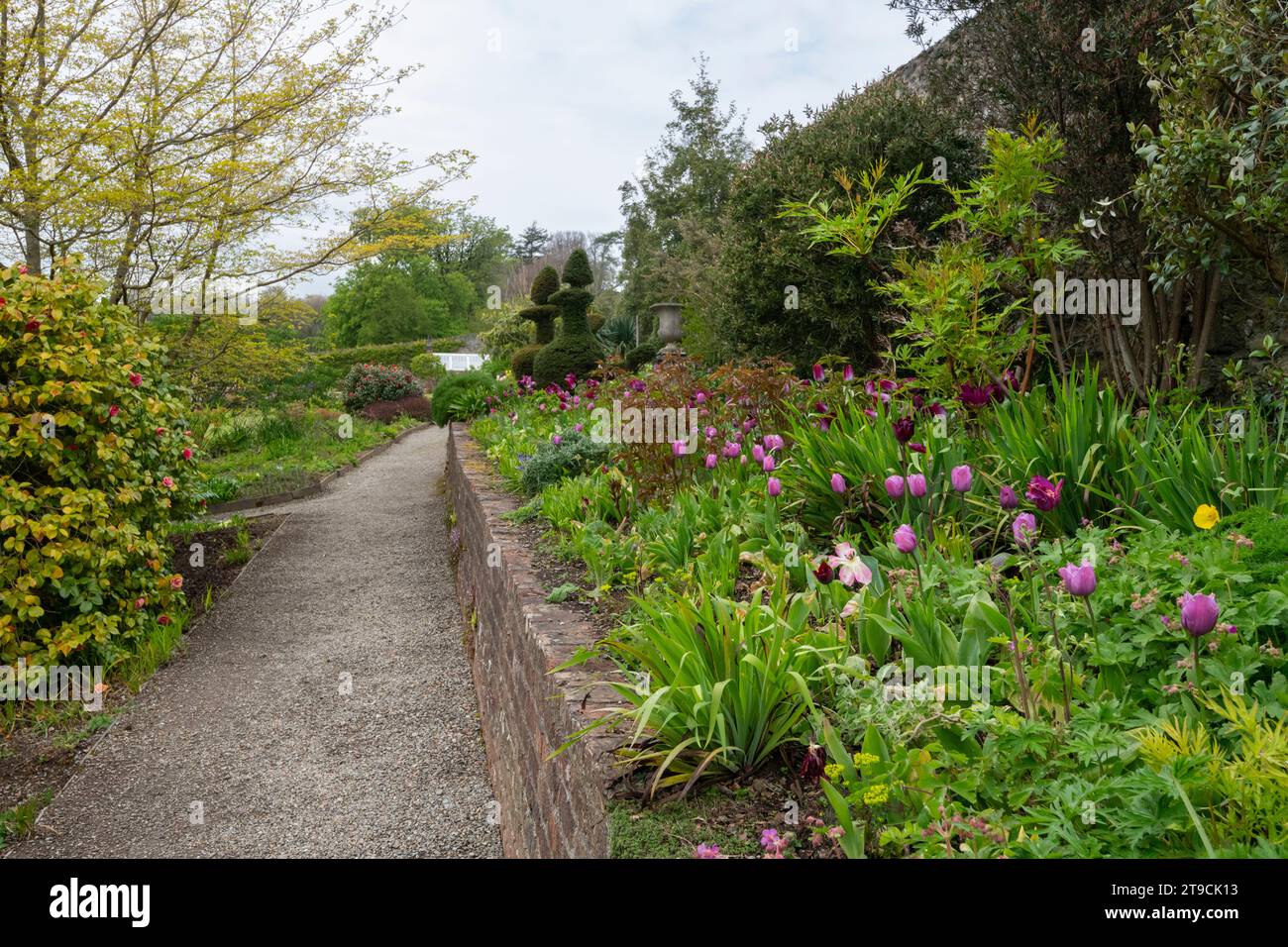 Plas Cadnant Hidden Gardens, Menai Bridge, Anglesey, North Wales Stock ...