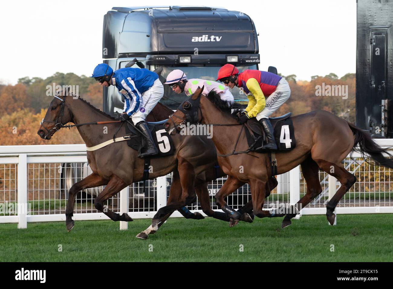Ascot, UK. 24th November, 2023. Horse Your Darling (No 5) ridden by ...