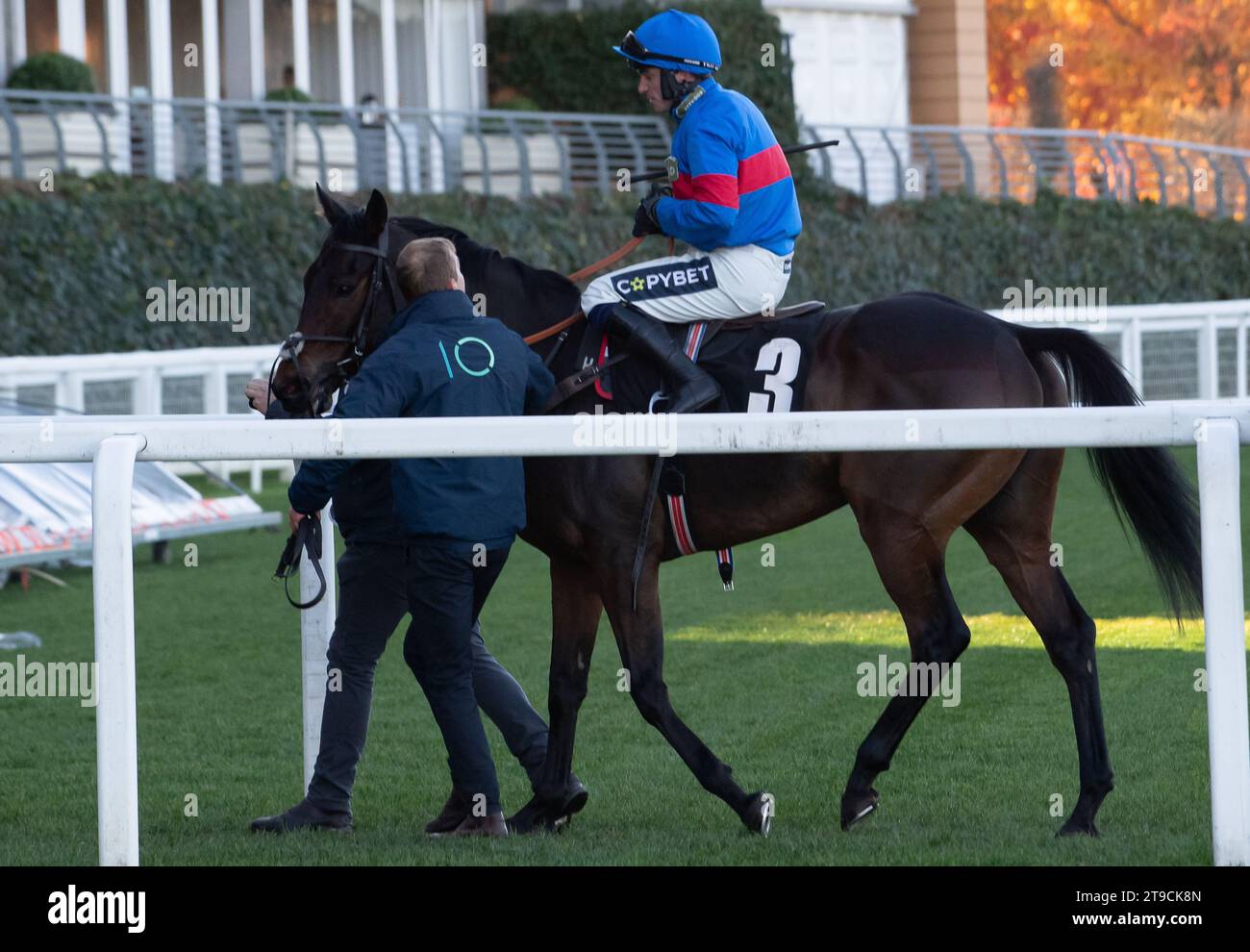 The garden for all seasons handicap hurdle race hi-res stock ...