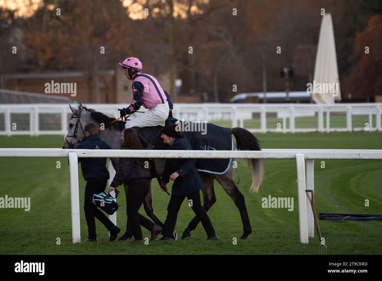 Ascot, UK. 24th November, 2023. Horse Scamallach Liath ridden by jockey ...