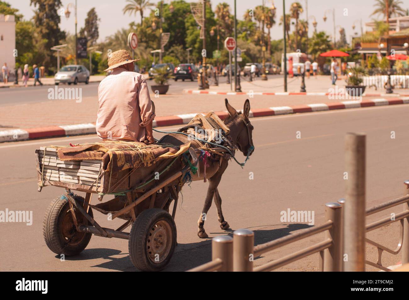 Donkey cart marrakech morocco hi-res stock photography and images - Alamy