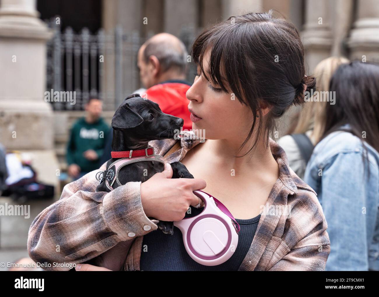 An afternoon in Milan with dozens of wonderful and very nice Dachshund ...