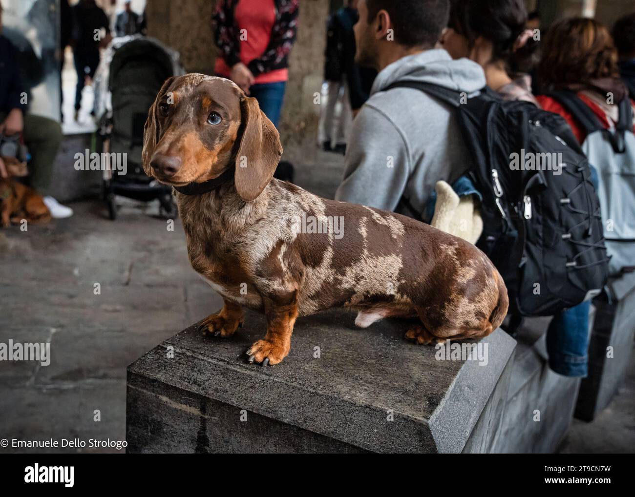 Psifoto hi-res stock photography and images - Alamy