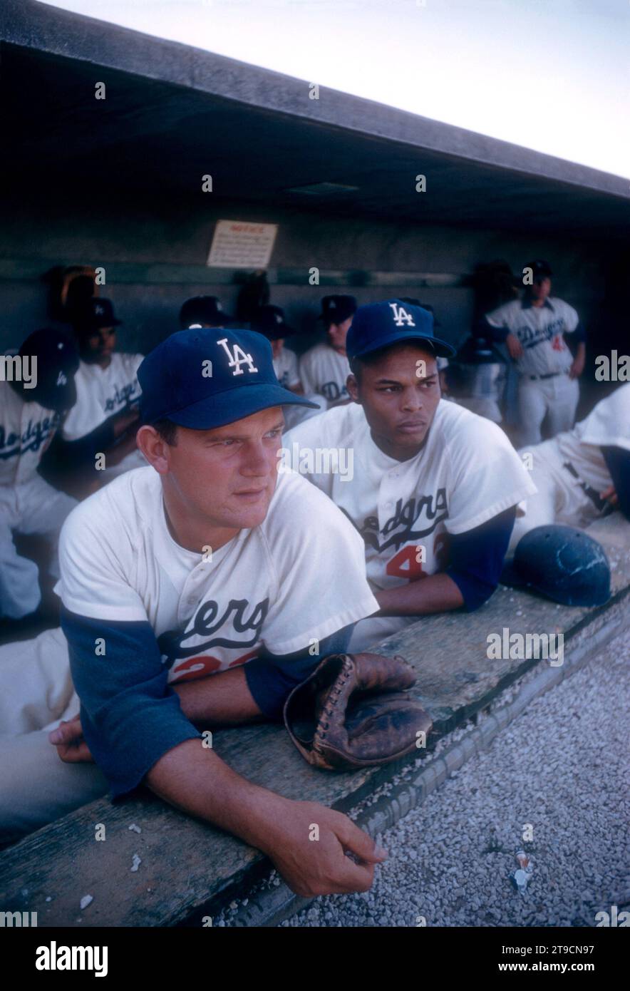VERO BEACH, FL - MARCH, 1958: Don Zimmer #23 and Charlie Neal #43 of ...