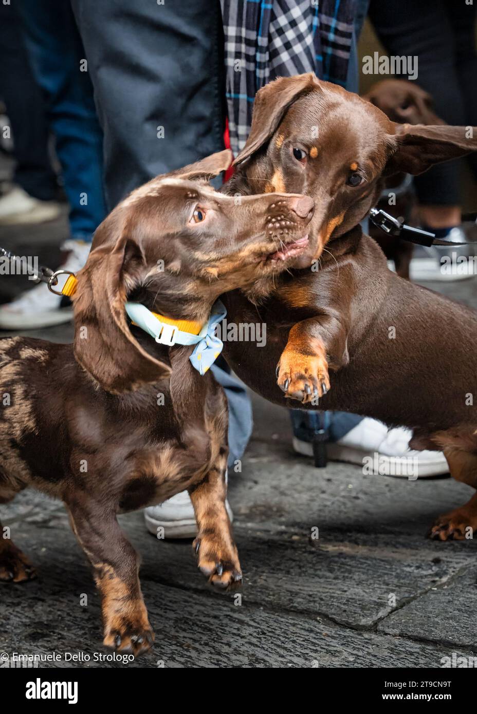 Psifoto hi-res stock photography and images - Alamy