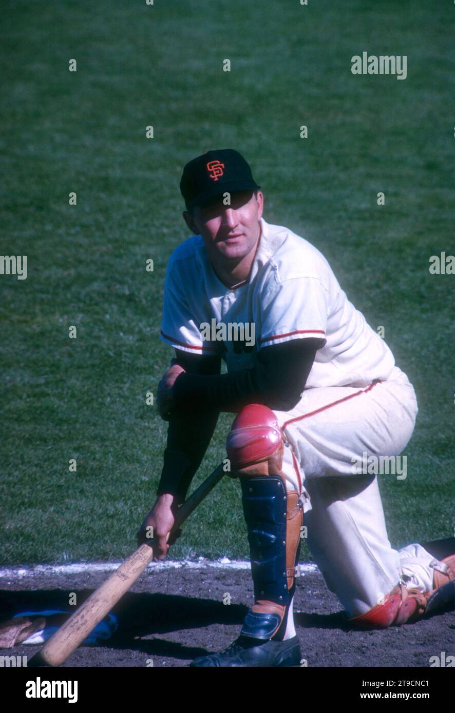 SAN FRANCISCO, CA - 1962: Tom Haller #5 of the San Francisco Giants ...